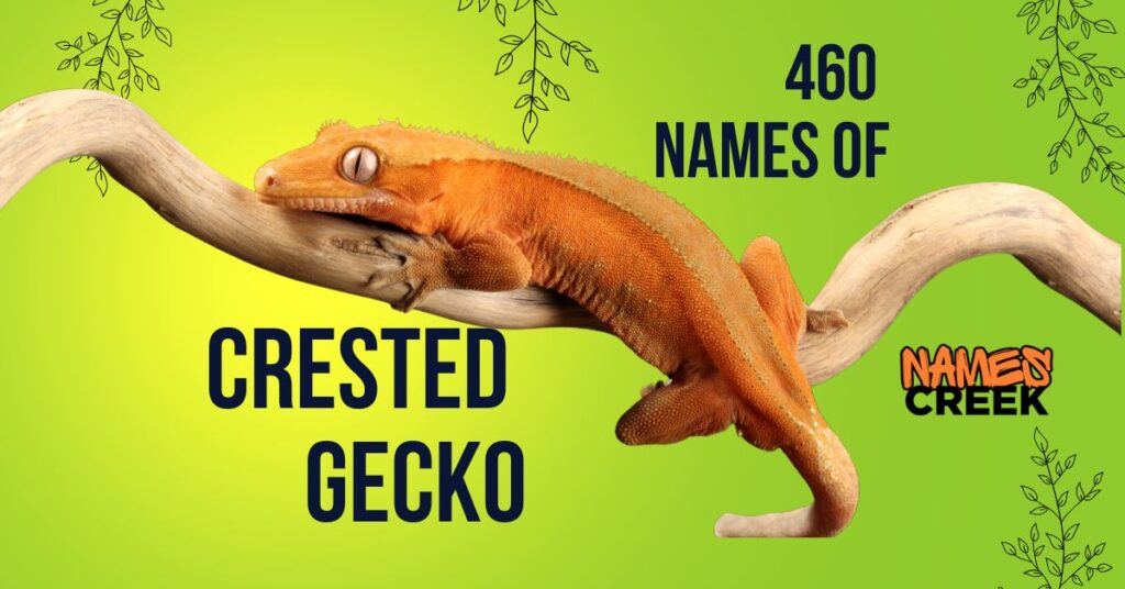 460 Crested Gecko Names With AI Generator