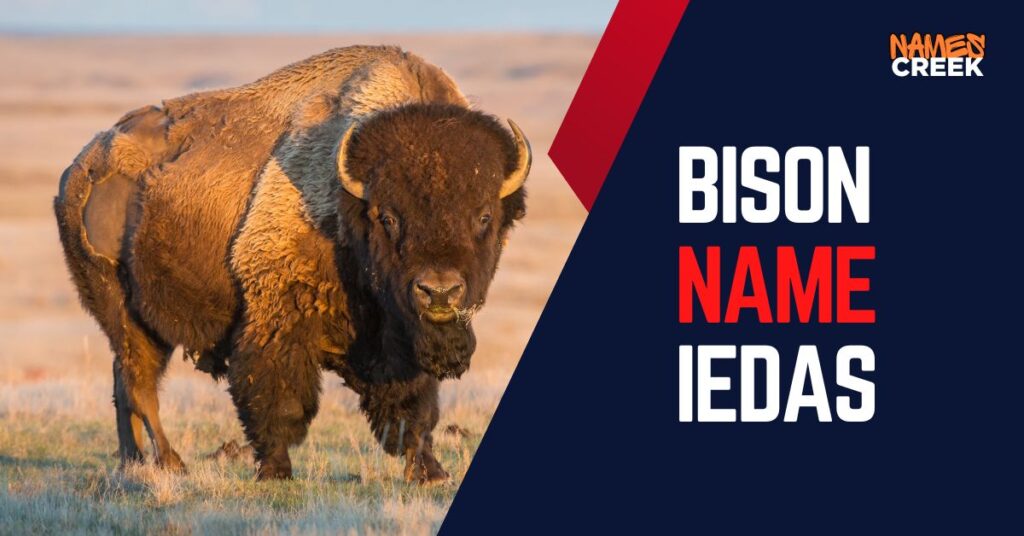 340 Bison Names With Ai Generator
