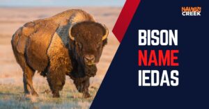 340 Bison Names With Ai Generator