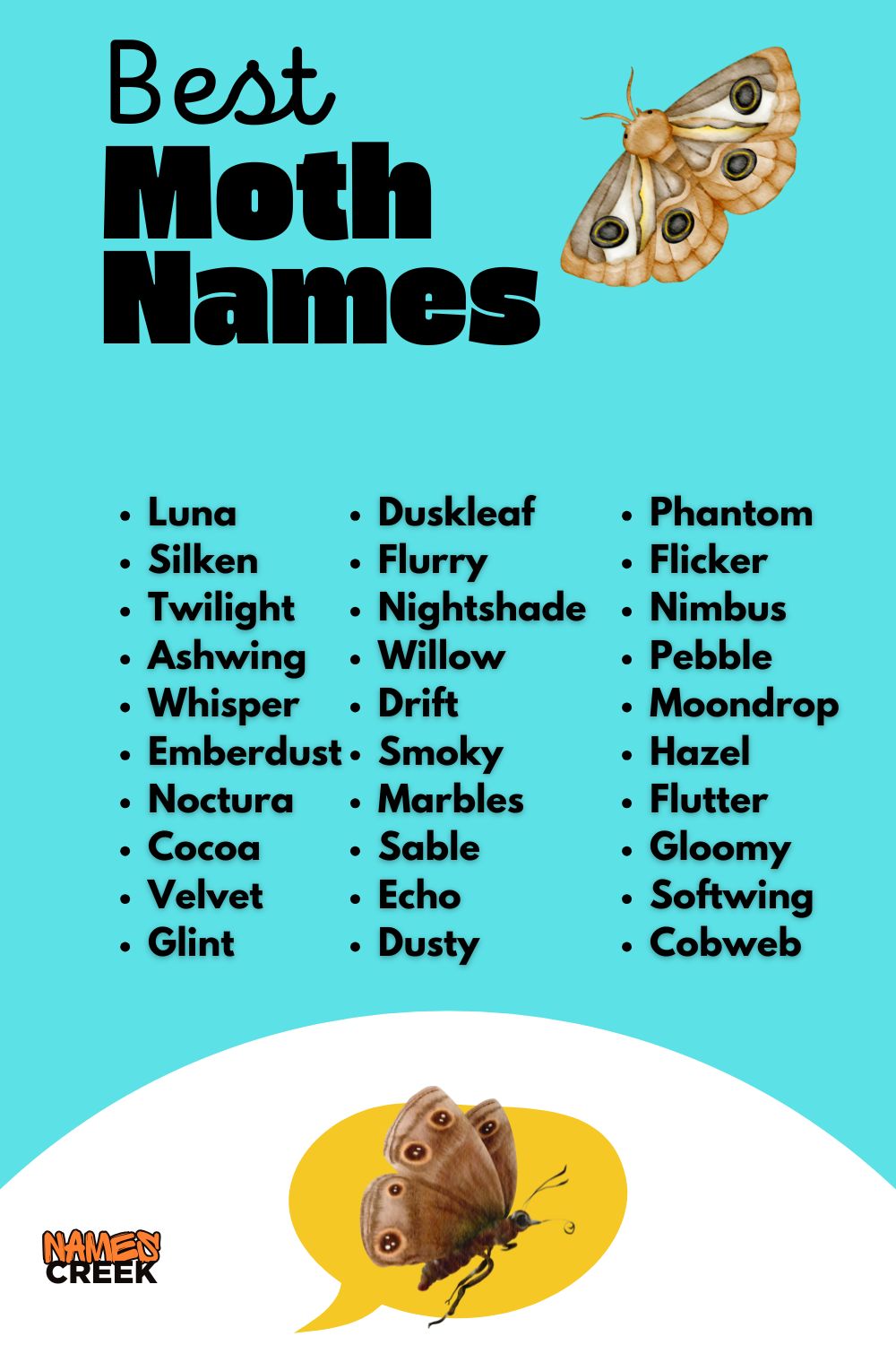 200+ Moth Names With Name Generator